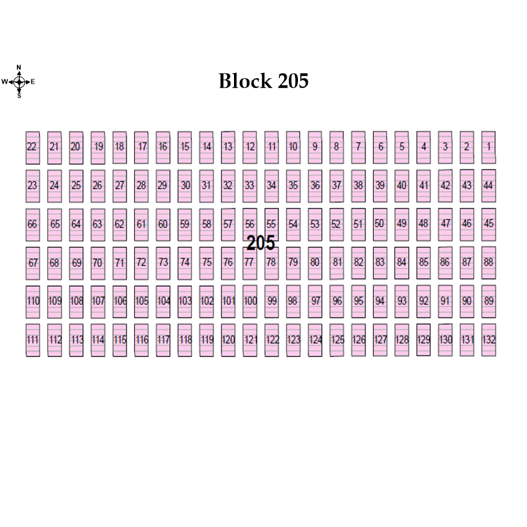 Burial Record Details